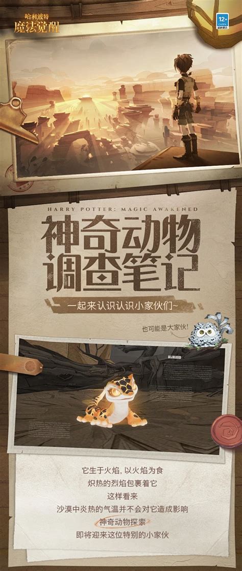 哈利波特魔法觉醒 的个人主页 微博 花瓣网