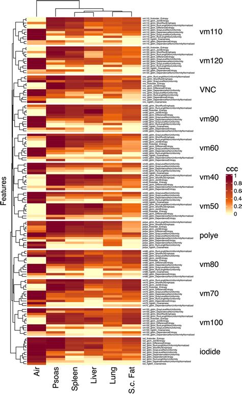 Concordance Correlation Coefficient For Segmentationresegmentation Download Scientific Diagram