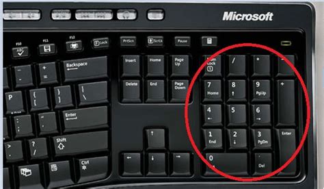 set numeric lock on in windows 8