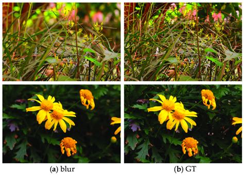 The Custom Made Defocus Blur Dataset Download Scientific Diagram