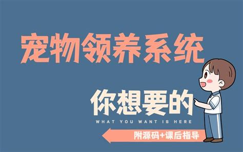 java宠物领养系统实战项目 知乎