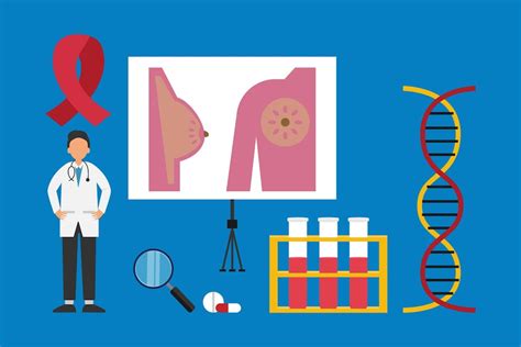 유방 초음파 및 유방 검사 암 진단 프리미엄 벡터