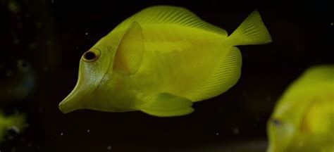 Tape On Linkedin Modeling Texturing Lookdev Lighting Rendering 3danimation…