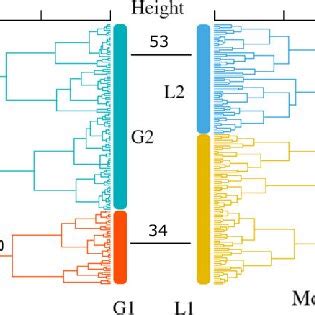 Results Of Both Cluster Models The Dendrogram Illustrates The Download Scientific Diagram