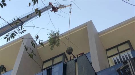 元建築 元本自然 以心拓居