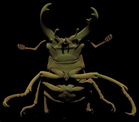 Translucent Volume Rendering