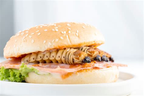 음식 곤충 벌레 벌레에 대 한 튀김 식품 빵 버거에서 만든 접시에 튀긴 곤충 고기 그것은 단백질의 좋은 소스는 식용 하 고 맛 있는 음식 Entomophagy 개념의