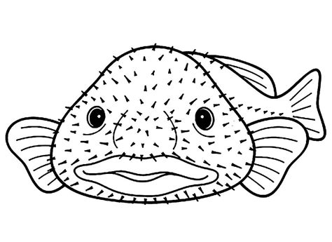 Blob Fish Coloring Pages Sketch Coloring Page