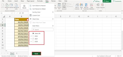 how to filter dates by year in excel sheetaki