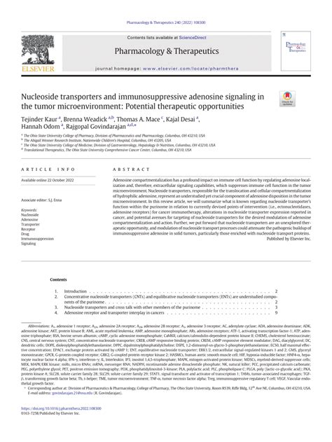 Pdf Nucleoside Transporters And Immunosuppressive Adenosine Signaling In The Tumor