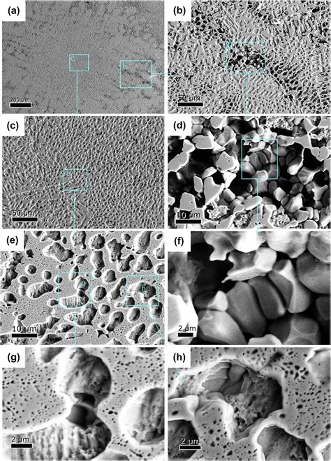 Multi Transformations In Rapid Solidification Of Highly Undercooled Hypoeutectic Ni Ni3b Alloy