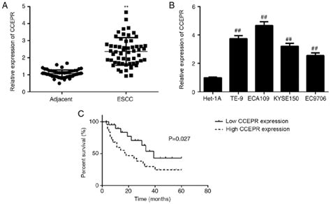 Upregulation Of Ccepr Is Associated With Escc Progression Ccepr Mrna Download Scientific