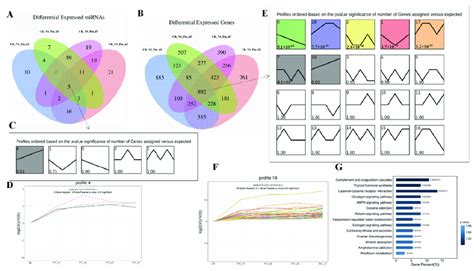 Mirna And Gene Analysis By Stem Clustering Across The Five Time Points