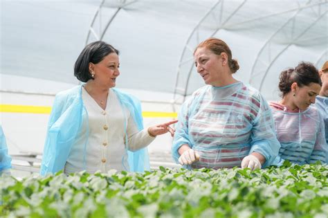 აჭარის აჭარის სოფლის მეურნეობის სამინისტროს ა ა იპ აგროსერვის ცენტრის შუახევის საჩითილე