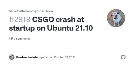 Csgo Crash At Startup On Ubuntu Issue Valvesoftware Csgo Osx Linux Github