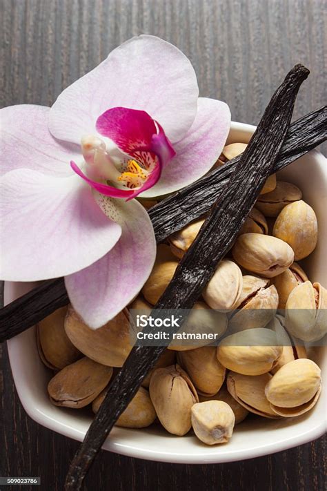 피스타치오 너트 꽃 연자주색 및 향기로운 바닐라 스틱 색조화장 재료를 0명에 대한 스톡 사진 및 기타 이미지 0명 가지 식물 부위 견과 Istock