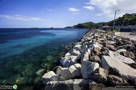 Stories And News Coastal Resilience