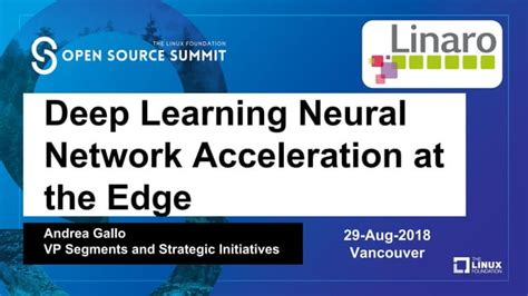 Deep Learning Neural Network Acceleration At The Edge Andrea Gallo Ppt