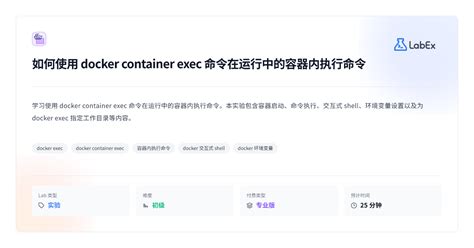 Docker Container Exec 命令使用指南 在运行容器中执行命令 Labex