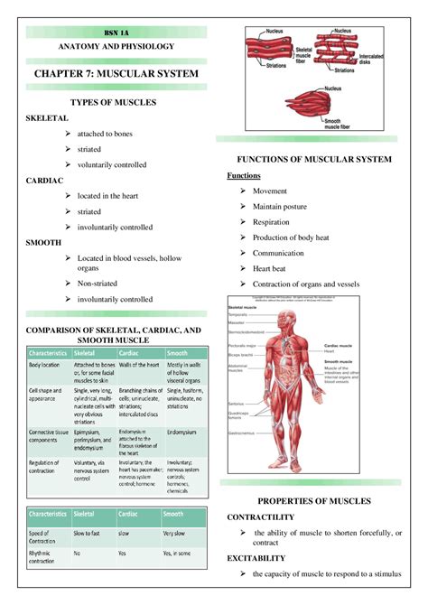 muscular system of the body lecture notes geomorphology docsity