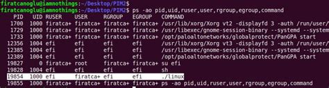Linux Dosya İzinlerinde Setuid Setgid Ve Stickybiti Anlama Linux Data Linux Sysadmin