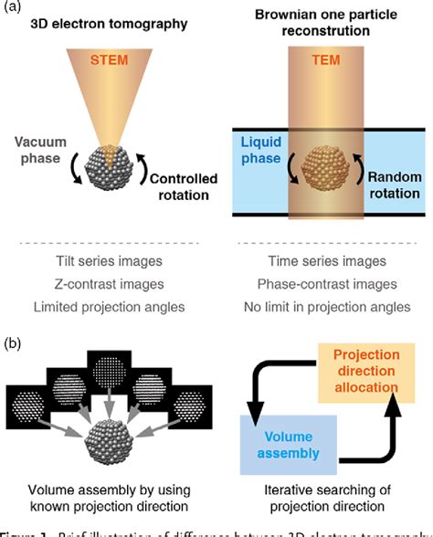 Table 1 From Determination Of The 3d Atomic Structures Of Nanoparticles Semantic Scholar