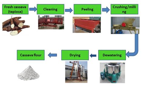 How To Make Cassava Flour From Cassava In Nigeria Albert Export Blog