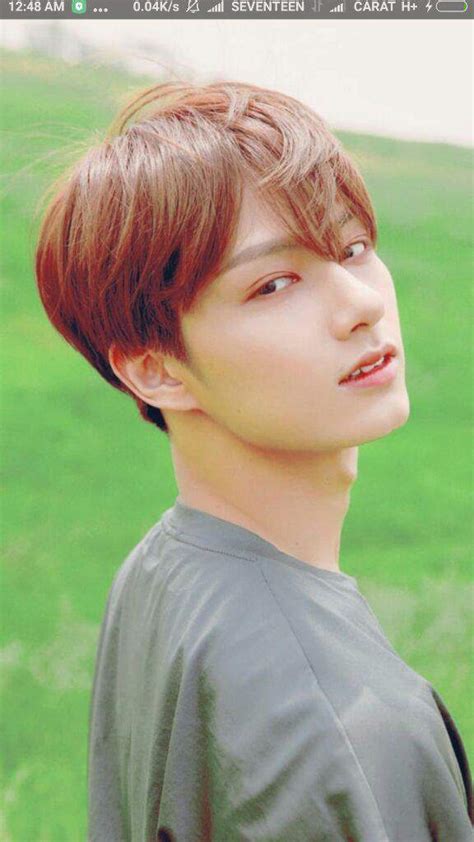 Wen Jun Hui Wiki Carat 캐럿 Amino