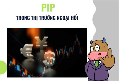 Pip Là Gì Tìm Hiểu Về Pip Trong Thị Trường đầu Tư