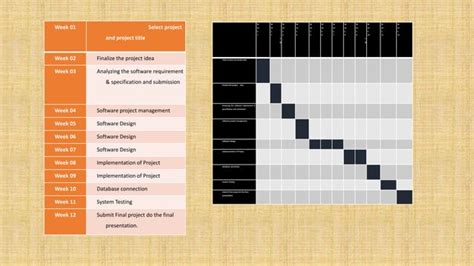 Stitching Shop Management System Pptx Computer Software And Applications Computing