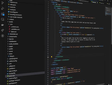 Software Development