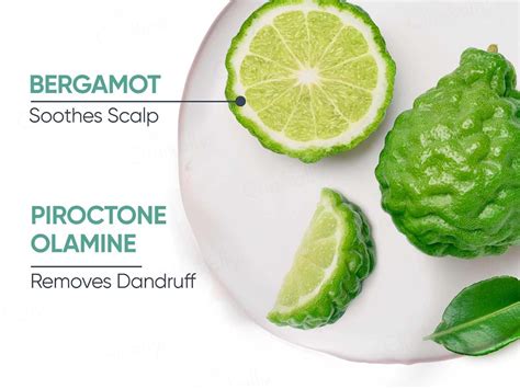 Buy Biolage Advanced Scalppure Anti Dandruff Shampoo Online At Best Price Clinikally