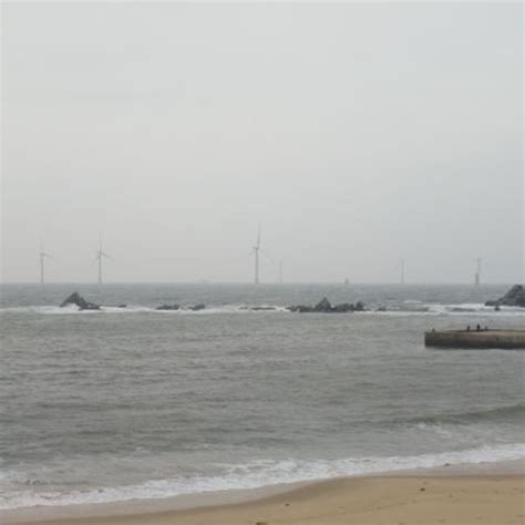 2023龙凤头海滨浴场玩乐攻略 为导游林大熊点赞虽然今天 去哪儿攻略
