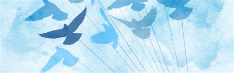 What Does The Youth Say The Fifth Issue Of The Bulletin Has Been Published Stgm