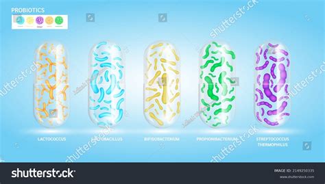 Lactococcus Over 1015 Royalty Free Licensable Stock Vectors And Vector