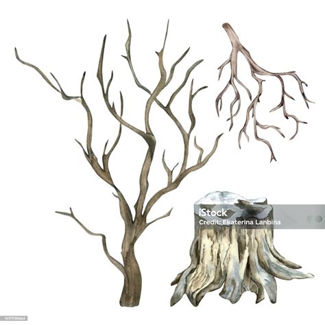 그루터기 세트 흰색 배경에 고립 된 오래된 벌거 벗은 나무 수채화 그림 0명에 대한 스톡 벡터 아트 및 기타 이미지 0명