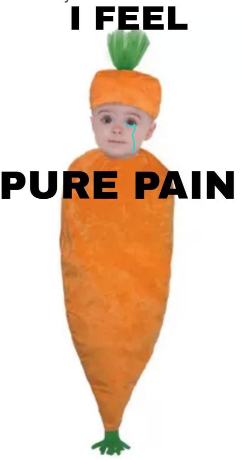 Carrot Memes Funny