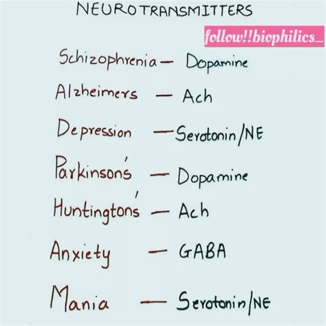 Neurotransmitters Neurotransmitter And Function Shorts Shortvideo Youtube