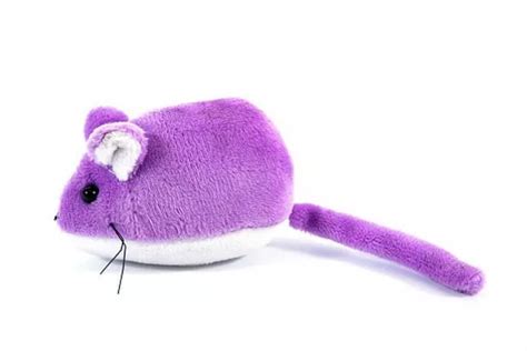 The Weirdest Objects Americans Put In Their Bodies That Resulted In A Trip To Hospital In 2018