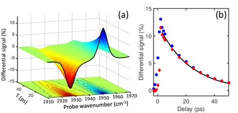 A Dependence Of The Pump Probe Signal As A Function Of Time Delay