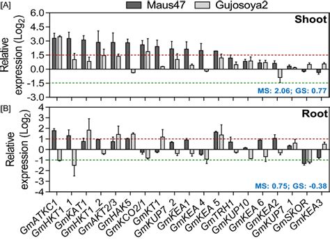 Quantitative Real Time Pcr Based Expression Profiling Of Download Scientific Diagram