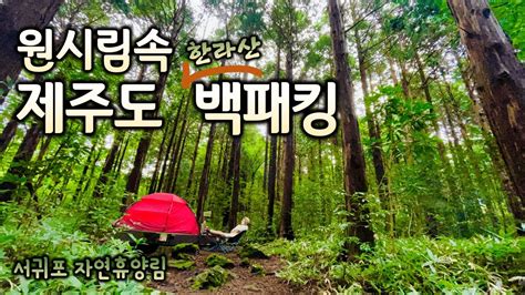 백패킹 제주도의 한라산속 캠핑장 ㅣ서귀포자연휴양림ㅣ한여름 정말 쉬원합니다 バックパッカーhorahora Youtube