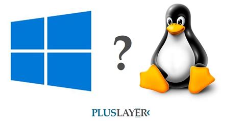 Linux Ile Windows Hosting Arasındaki Farklar Pluslayer Blog