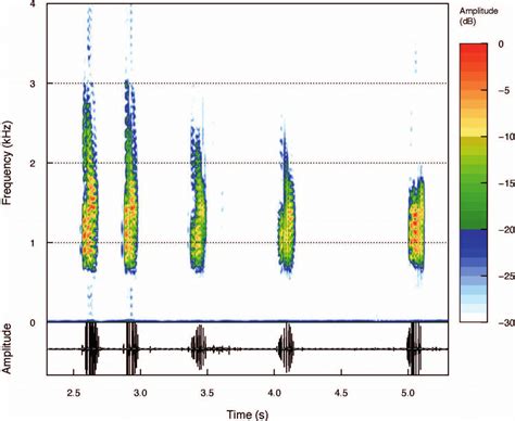 Oscillogram A And Audiospectrogram B Of The Advertisement Call Of