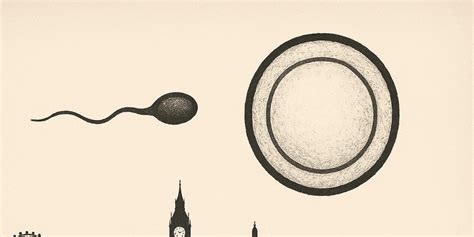 ‘biology is not binary but ‘sex is by colin wright