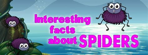 Milton Pest Control Facts About Spiders You May Not Know