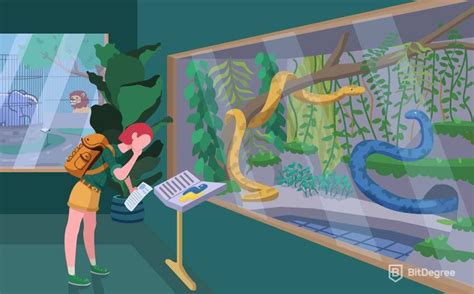 Trabajos De Programación Python ¡lenguaje Python Al Desnudo