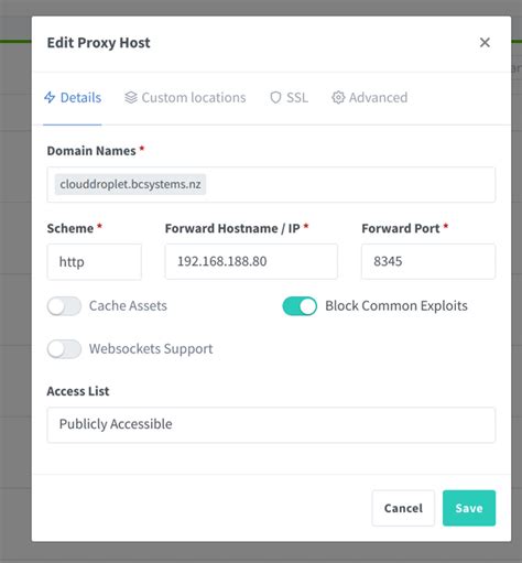 Can Access Container By Ip Address Rather Than Domain Name Npm Not Working For Vuejs App R