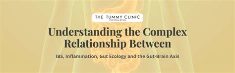 Understanding The Complex Relationship Between Ibs Inflammation Gut Ecology And The Gut Brain