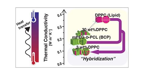 Reorientation Of Crystalline Block Copolymer Membranes By Phospholipid Hybridization Chemistry